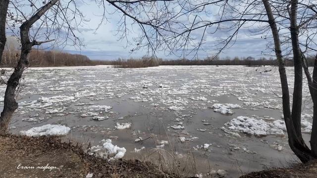 ЛЕДОХОД на реке Кондома в Новокузнецке. 2025 г.