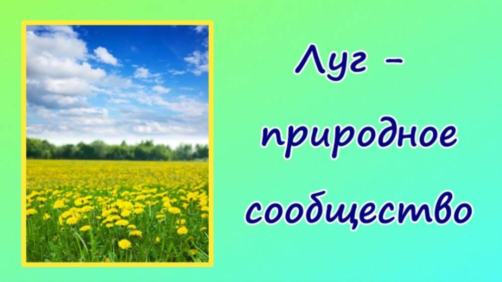Окружающий мир Луг - природное сообщество. Видеоурок.