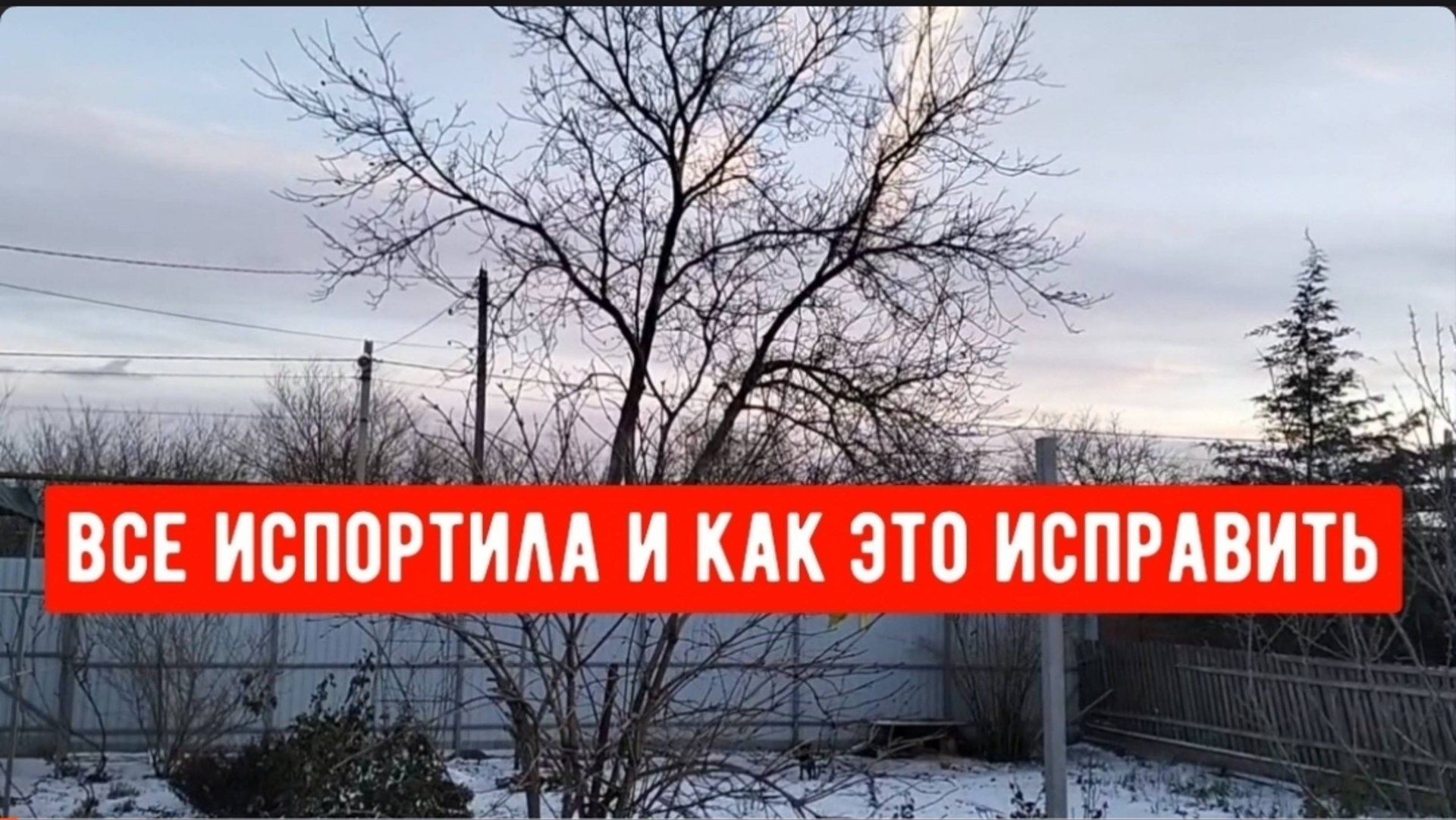 Сама испортила и как это исправить/Почвогрунт в брикете/Пробуем картошку/Воскресные блины