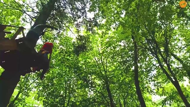 То вверх, то вниз. Ах лето