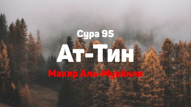 Сура 95 Ат-Тин - Махир Аль-Муайкли