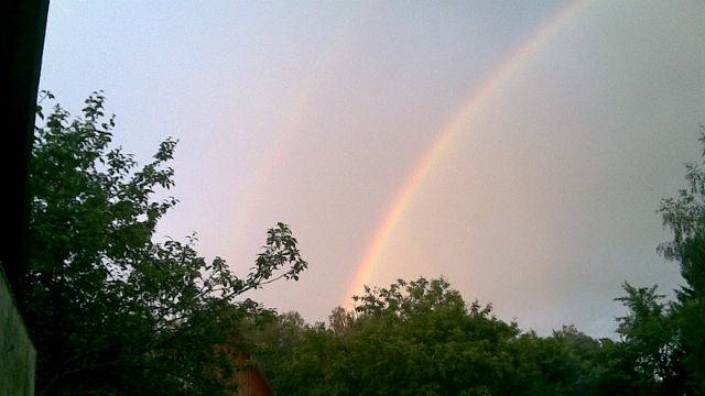 Моя дача, после зимы.