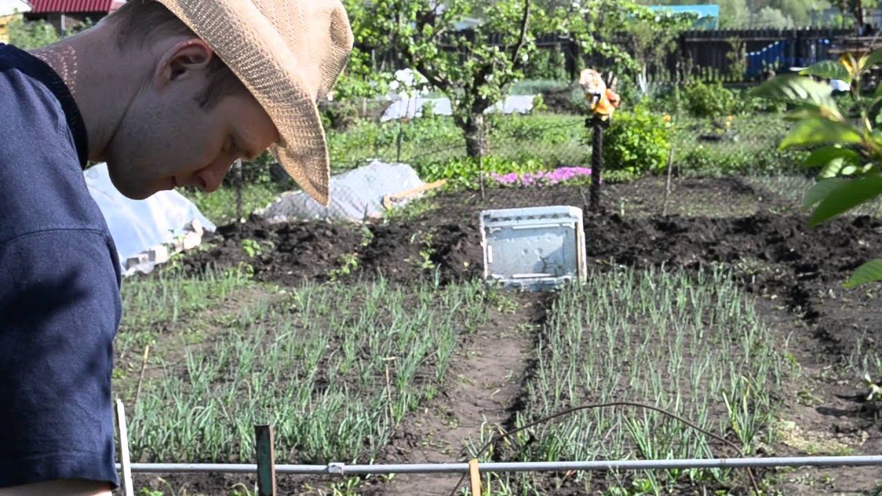 Продаю и изготавливаю варганы