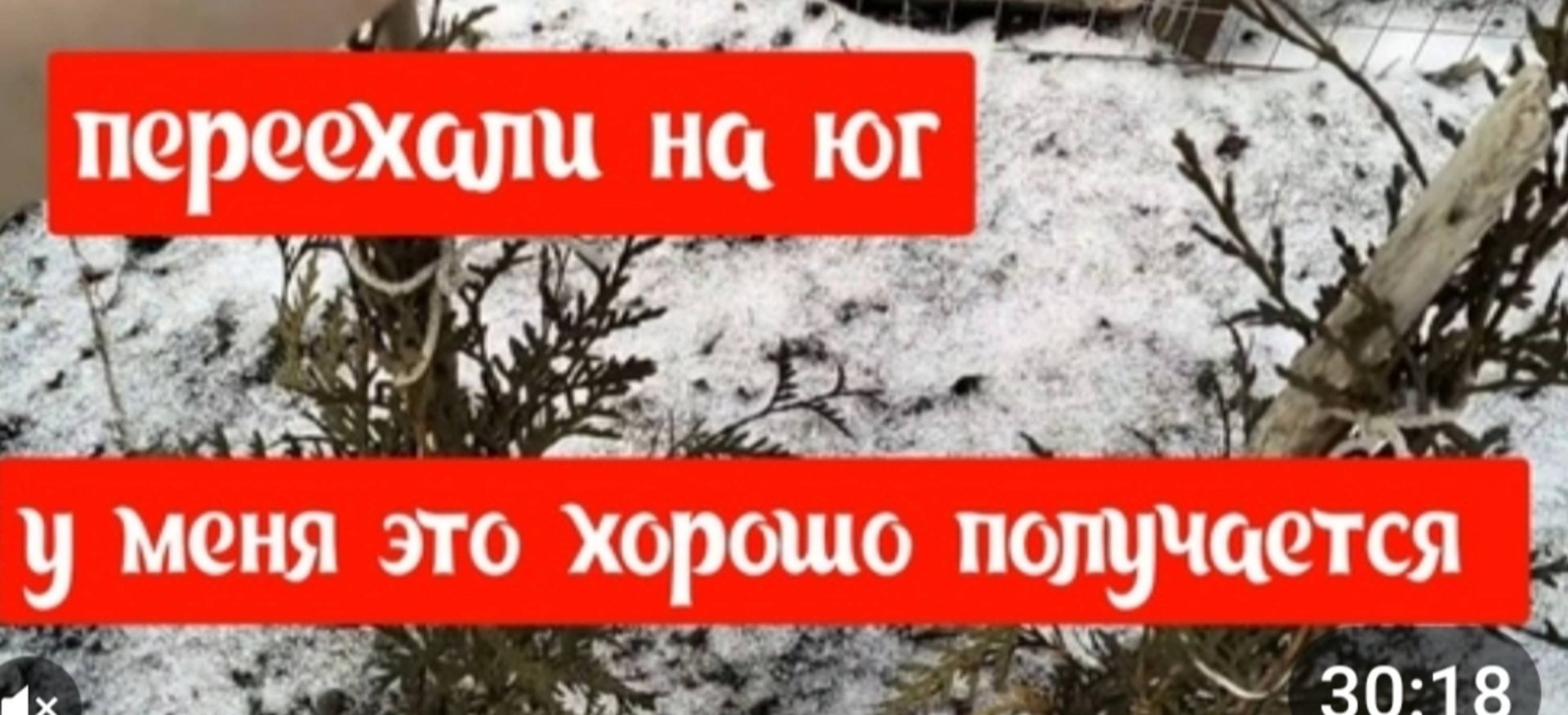 Переехали на юг)У меня это хорошо получается и я буду этим заниматься