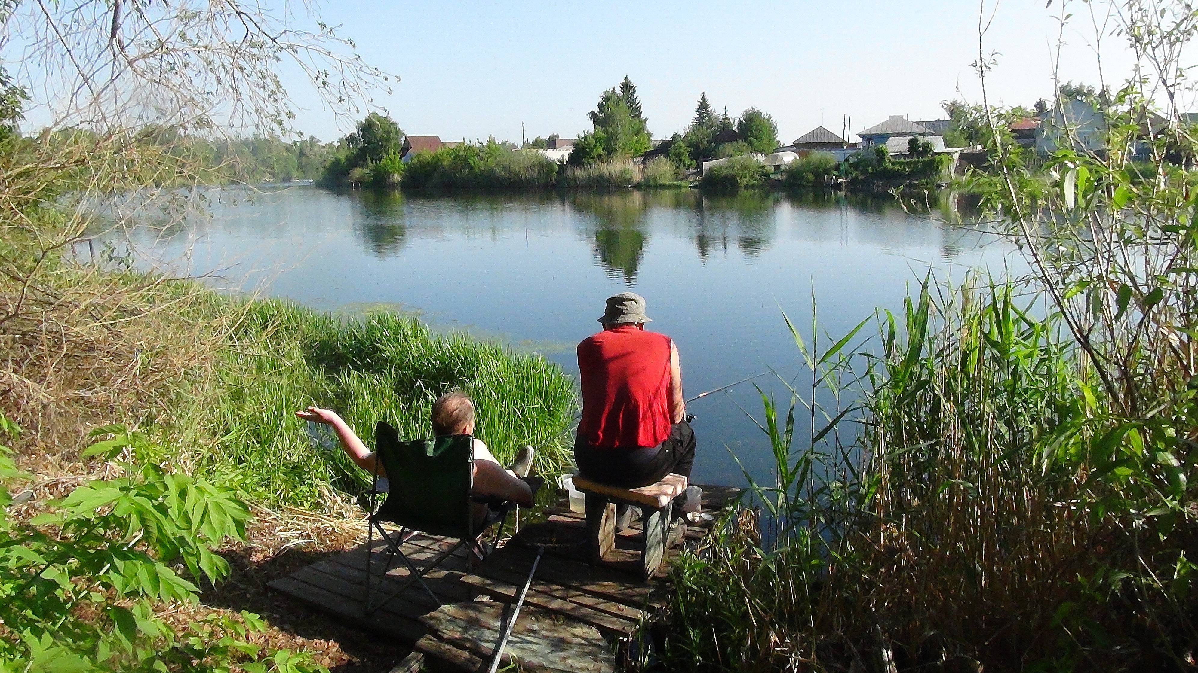 Вот она мечта дачника-рыбака 🐟😜 #рыбалка  #дача  #михалыч  #озеро #карась #щука