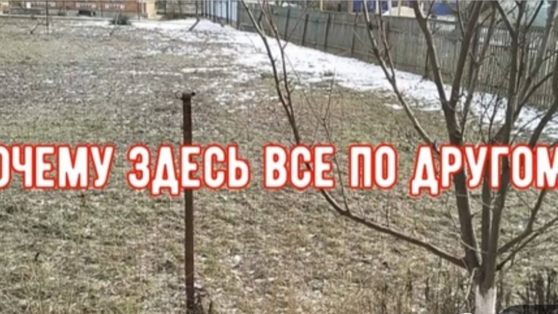 Полив рассады/Чей забор/Ну почему  здесь все по -другому