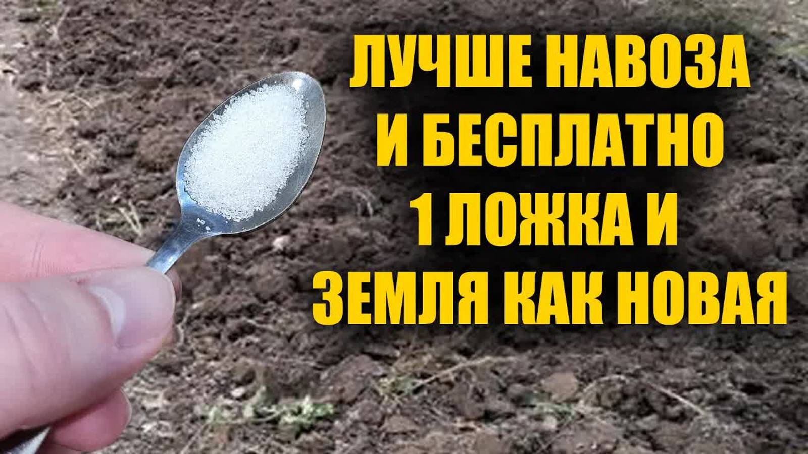 1 ЛОЖКУ НА ВЕДРО ВОДЫ И ЗЕМЛЯ КАК НОВАЯ, ПЛОДОРОДНАЯ, ЖИВАЯ, УРОЖАЙ ТОННАМИ НАРАСТАЕТ!
