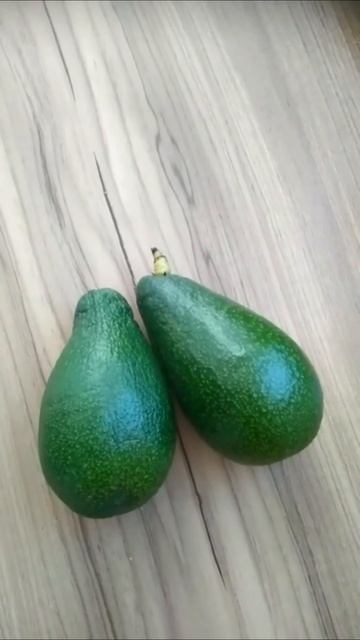 как сделать так, чтобы авокадо быстро созрело