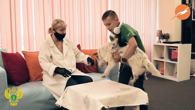 Космос будет жить или берегите животных