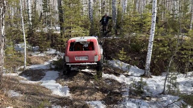 Между снегом и землей 2025