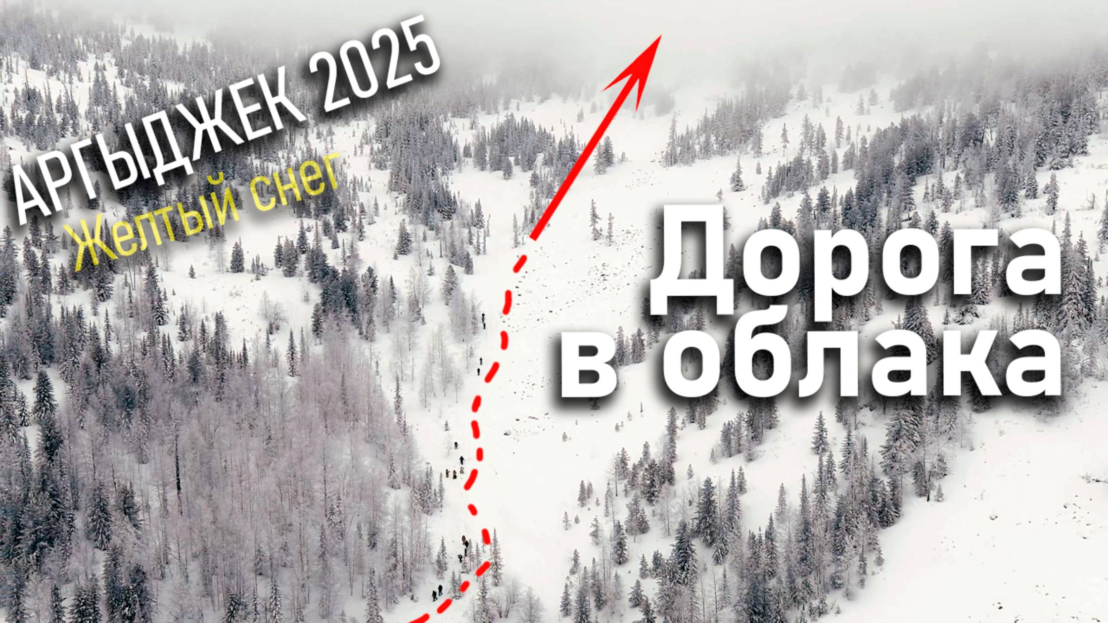 Аргыджек 2025 - Вопросы экологии и традиционный новогодний поход выходного дня
