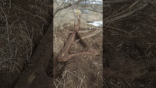 Новая лялька ✨ новый рекорд 🔥