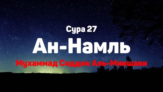 Сура 27 Ан-Намль - Мухаммад Сиддик Аль-Миншави