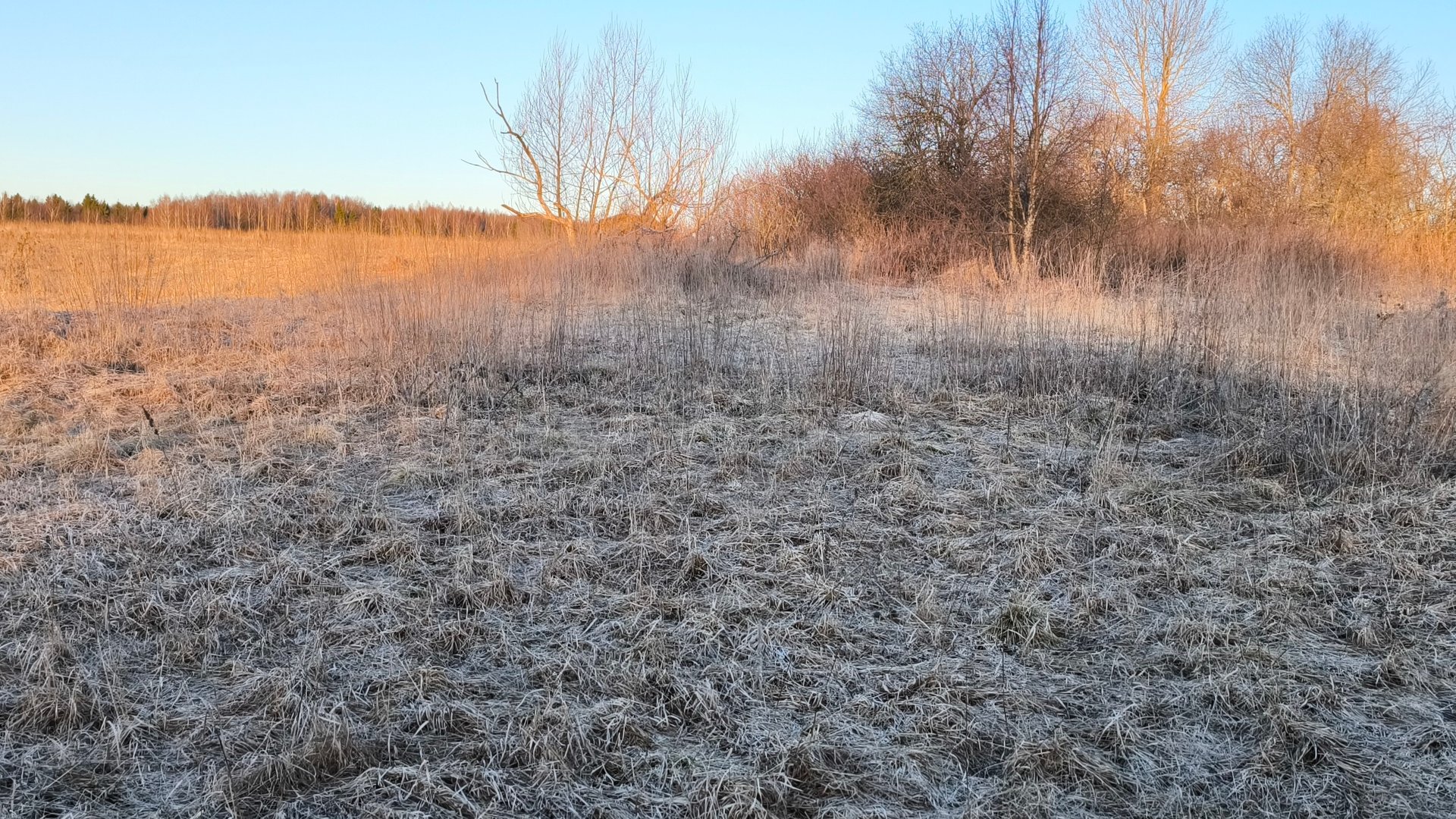 Раскопки 2025г весна выезд 2/ч2