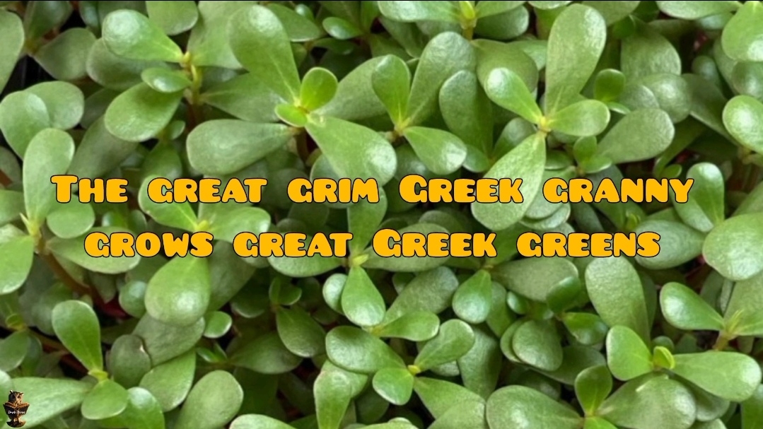 The great grim Greek granny grows great Greek greens. Tongue Twister