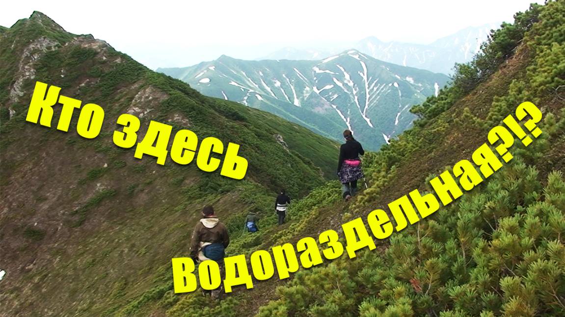 Кто здесь Водораздельная?!?