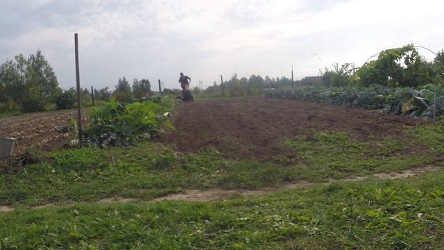 МобилК Ghepard (Barbieri)