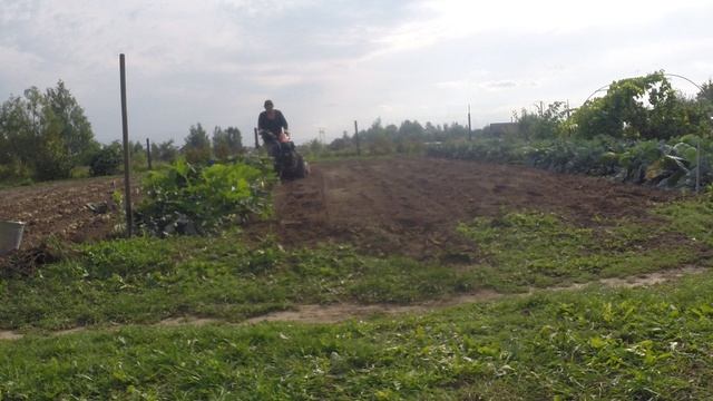 МобилК Ghepard (Barbieri)