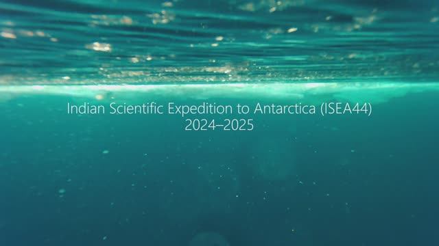 Глубоководный мир Антарктиды: Что скрывает Южный океан?