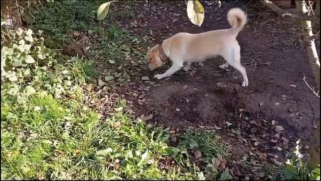 Архив. Денёк удался! Сделали с дочкой много дел