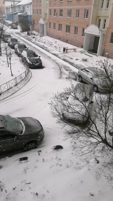 7 апреля 2025. Опять метель 🌨️🌨️❄️