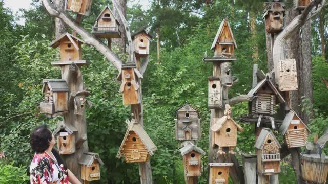 КРЫША ДОМА ТВОЕГО. Гнёзда птиц очень разные.