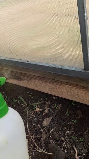 Обработка теплицы фармайодом