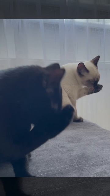 Помывочная