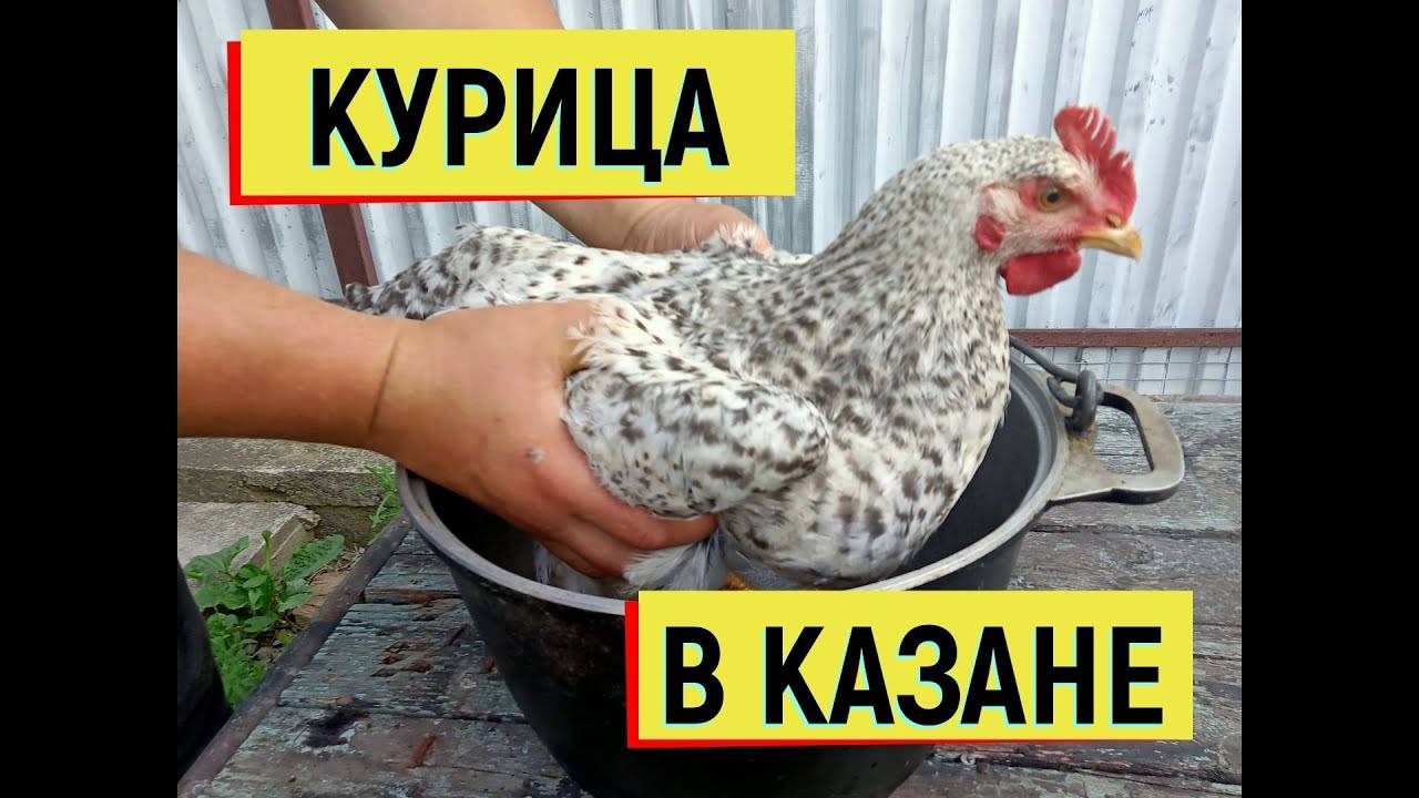 КУРИЦА в КАЗАНЕ КАК ЗАПЕЧЬ КУРИЦУ В КАЗАНЕ  на КОСТРЕ #курица #казан #простойрецепт #мясо