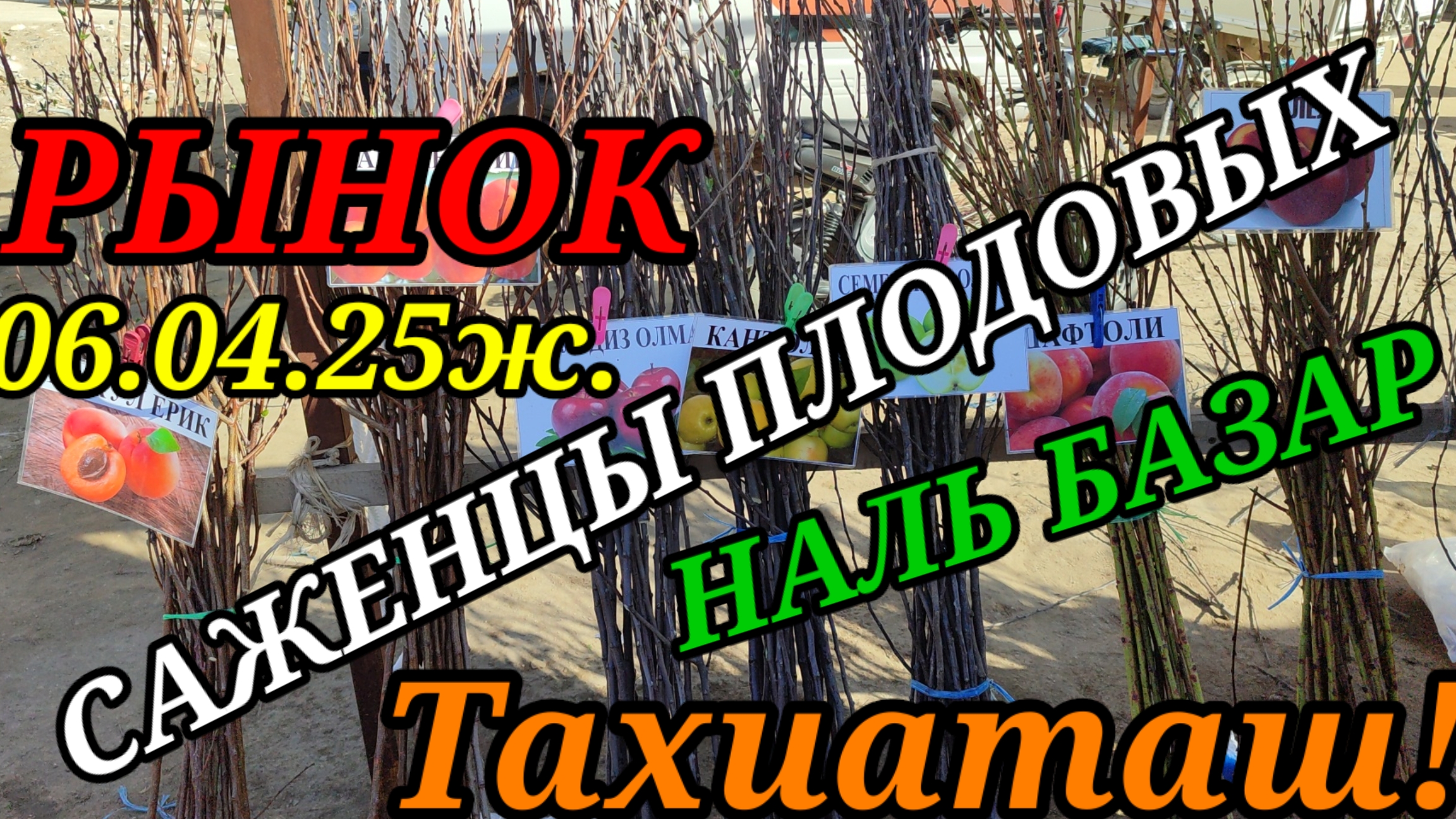 07-04-2025 САЖЕНЦЫ ПЛОДОВЫХ ДЕРЕВЬЕВ