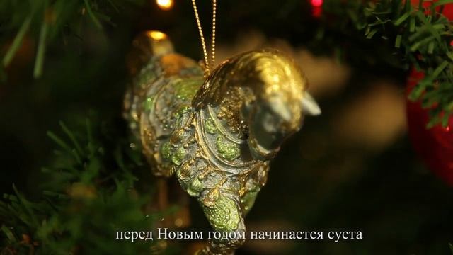 不一样的俄罗斯圣诞树 Рождественская елка или почему на верхушке звезда