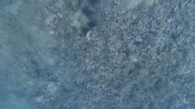 Ня Чанг, Вьетнам, острова под водой 21 февраля 2025. Nha Trang. 14