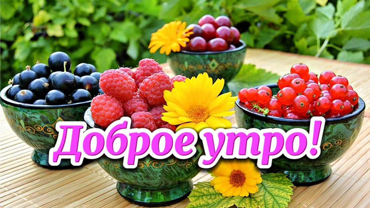 Доброе утро! Новый день в обьятья мчит!