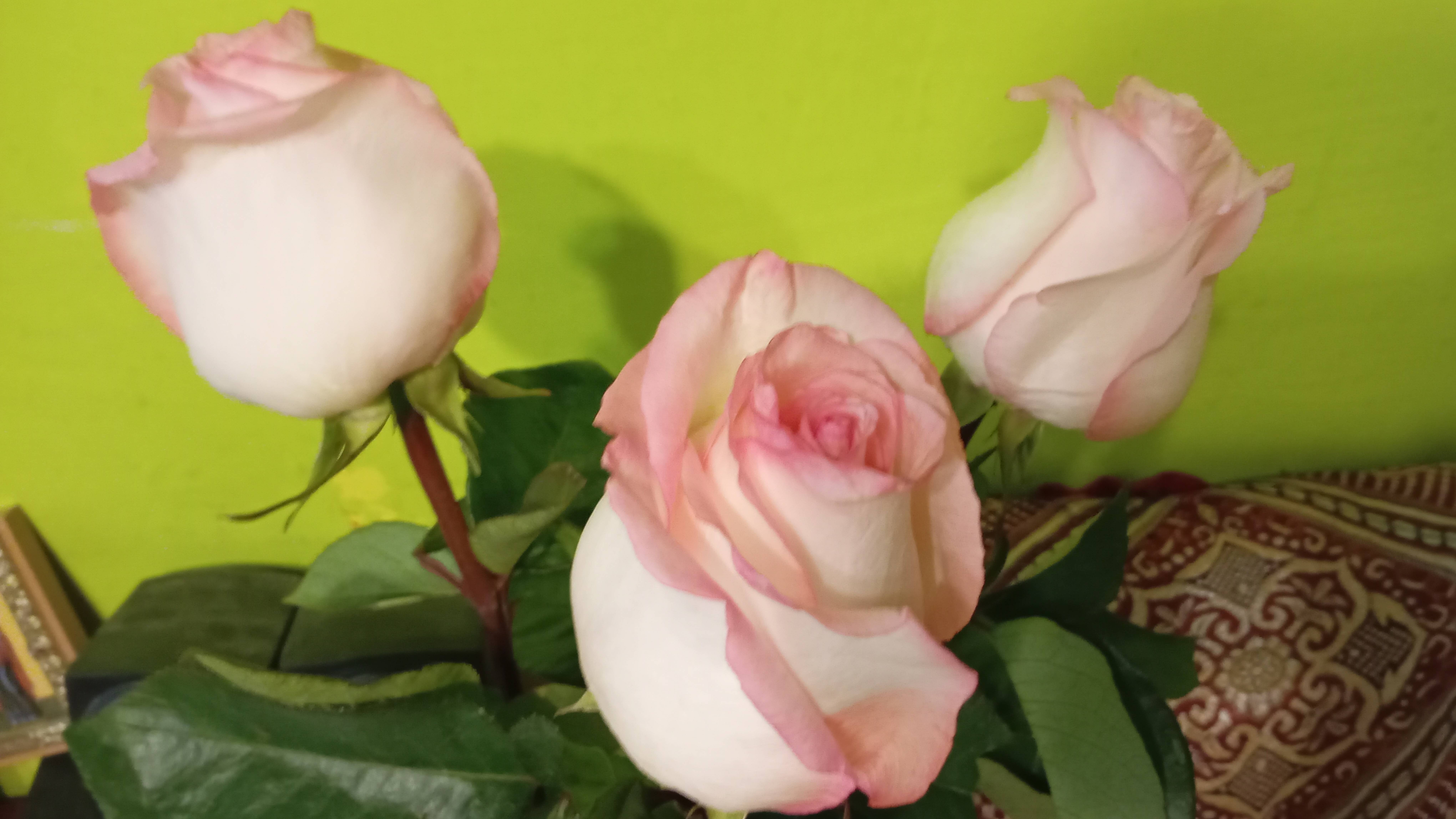 Стихи от друзей о любви♥️♥️♥️