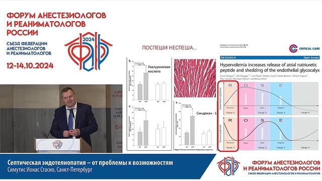 Септическая эндотелиопатия Симутис И.С. ФАРР 2024