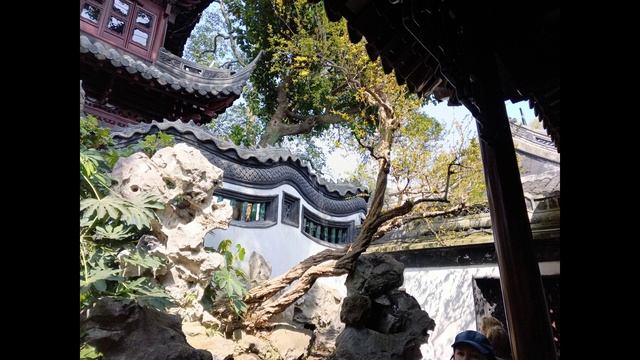 Фотофильм о поездке в Китай, 2024 год.