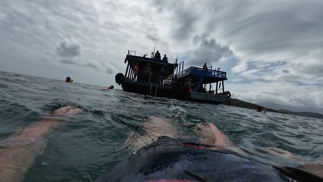 Ня Чанг, Вьетнам, острова 21 февраля 2025. Nha Trang. 11