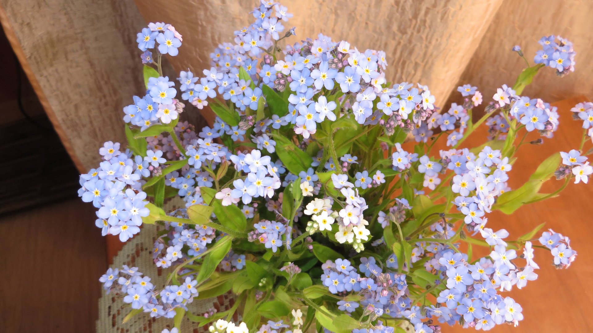 Букет незабудок.