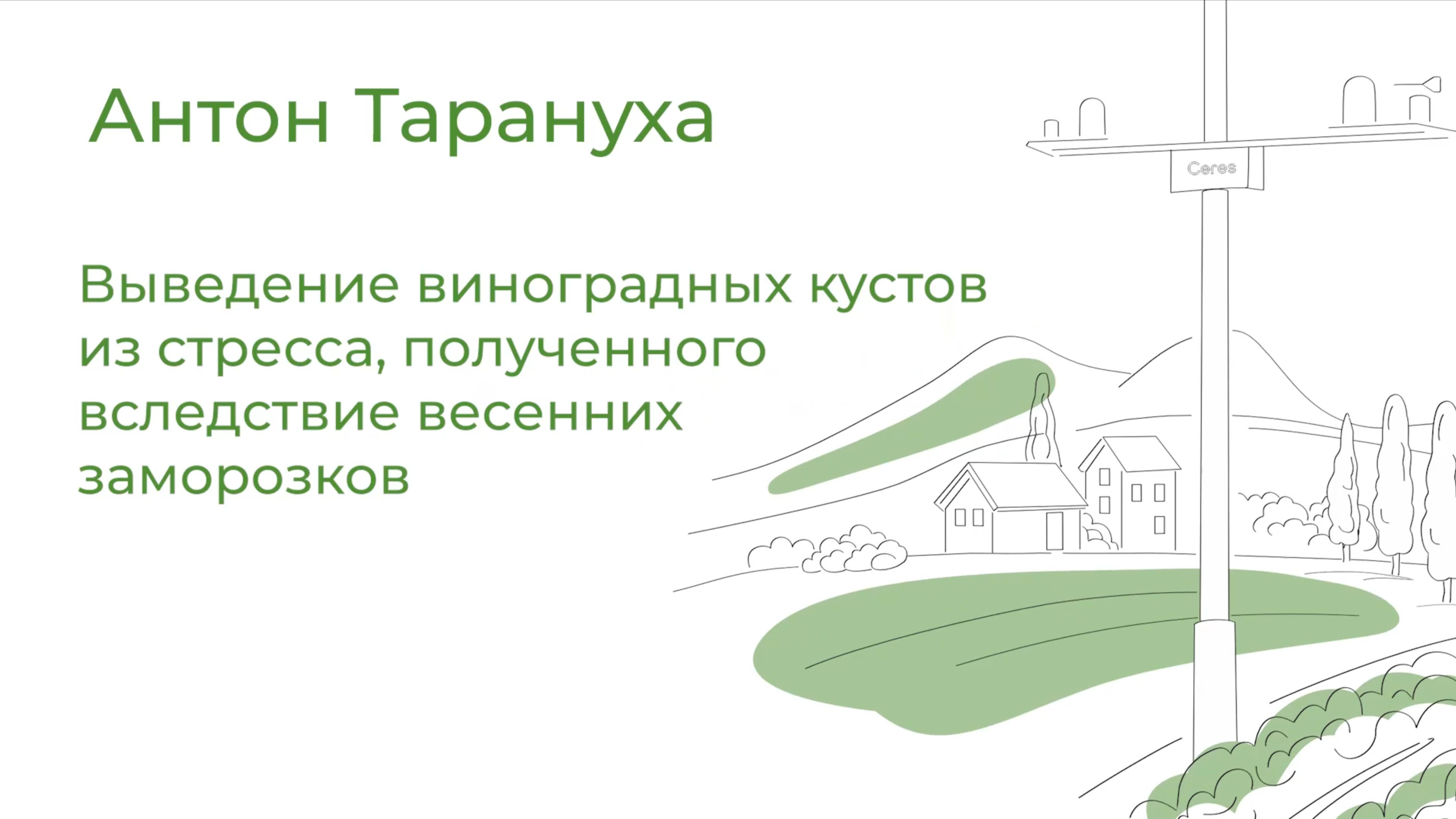 Тарануха А.А_Выведение кустов винограда из стресса