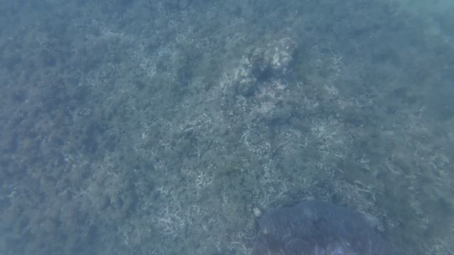 Ня Чанг, Вьетнам, острова под водой 21 февраля 2025. Nha Trang. 11