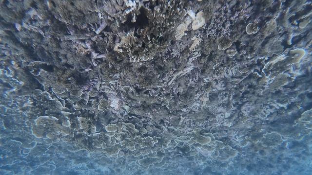 Ня Чанг, Вьетнам, острова под водой 21 февраля 2025. Nha Trang. 3