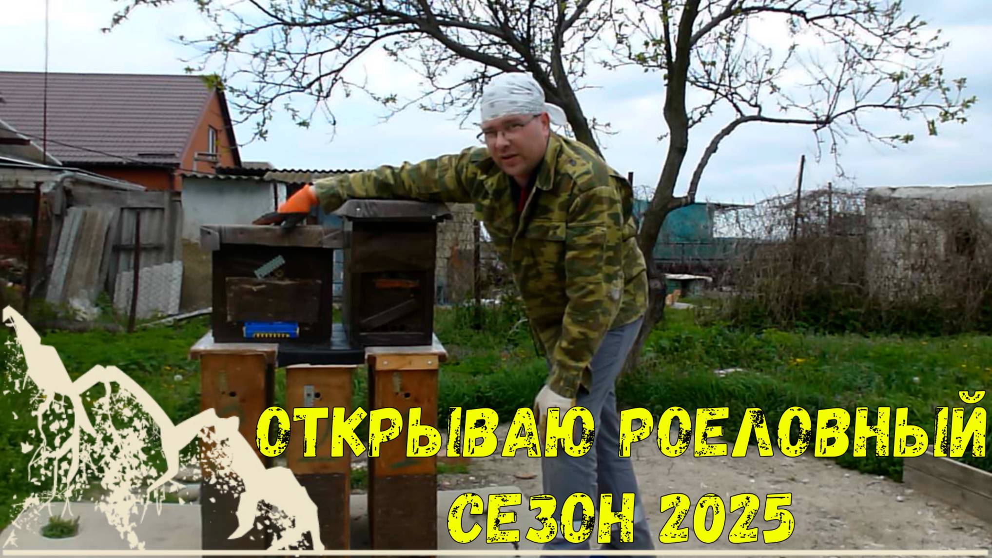 Охота на пчел сезон 2025
