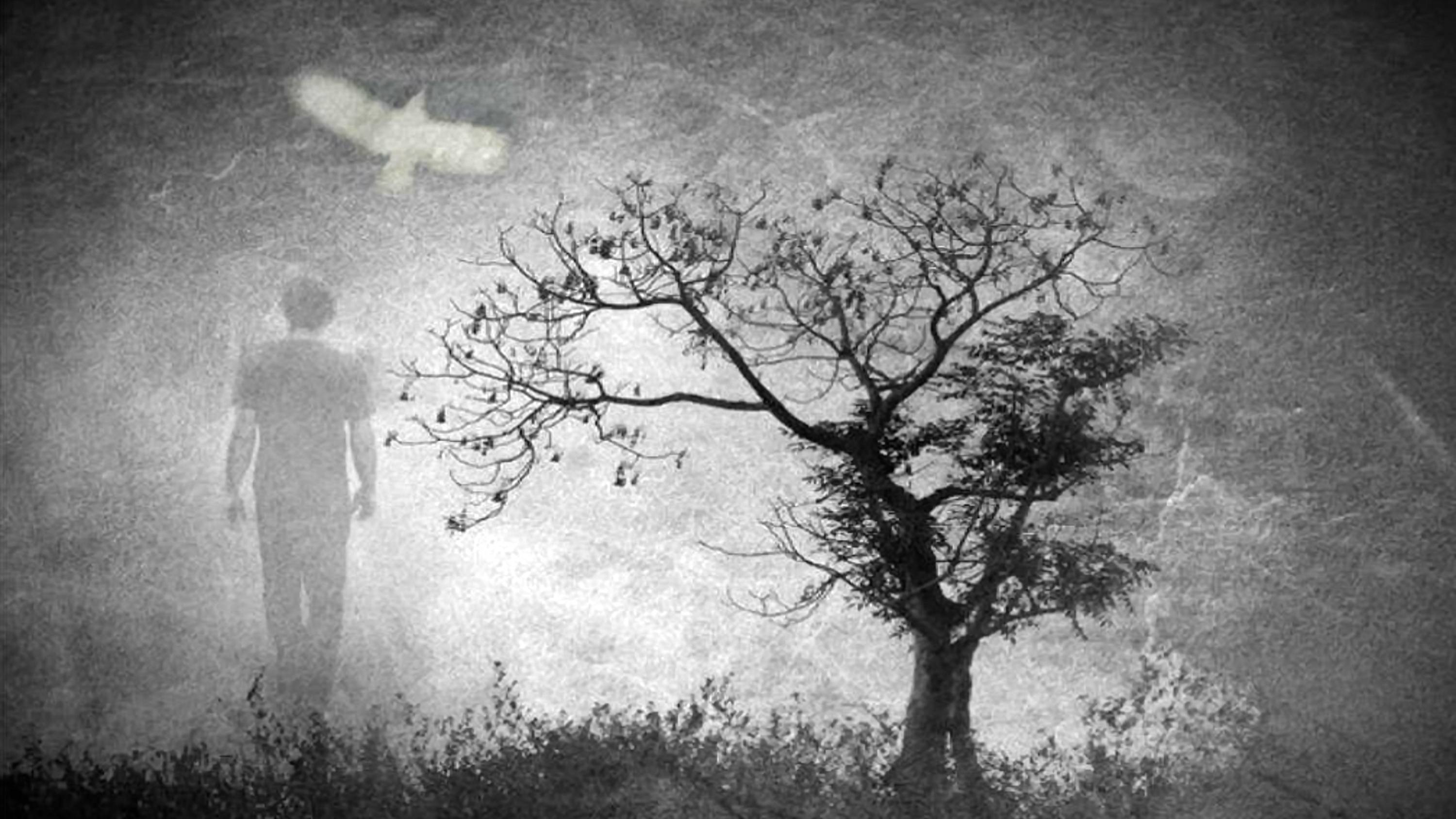 Точка забвения