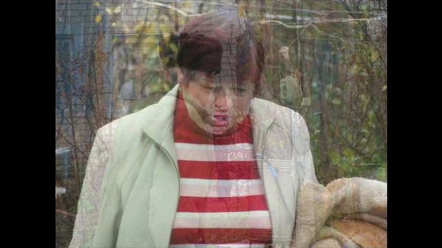 2012г.Медведи.