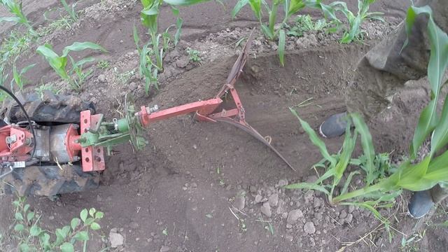 Мотоблок Кутаиси с родным окучником