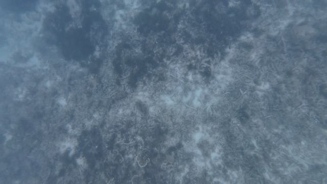 Ня Чанг, Вьетнам, острова под водой 21 февраля 2025. Nha Trang. 1