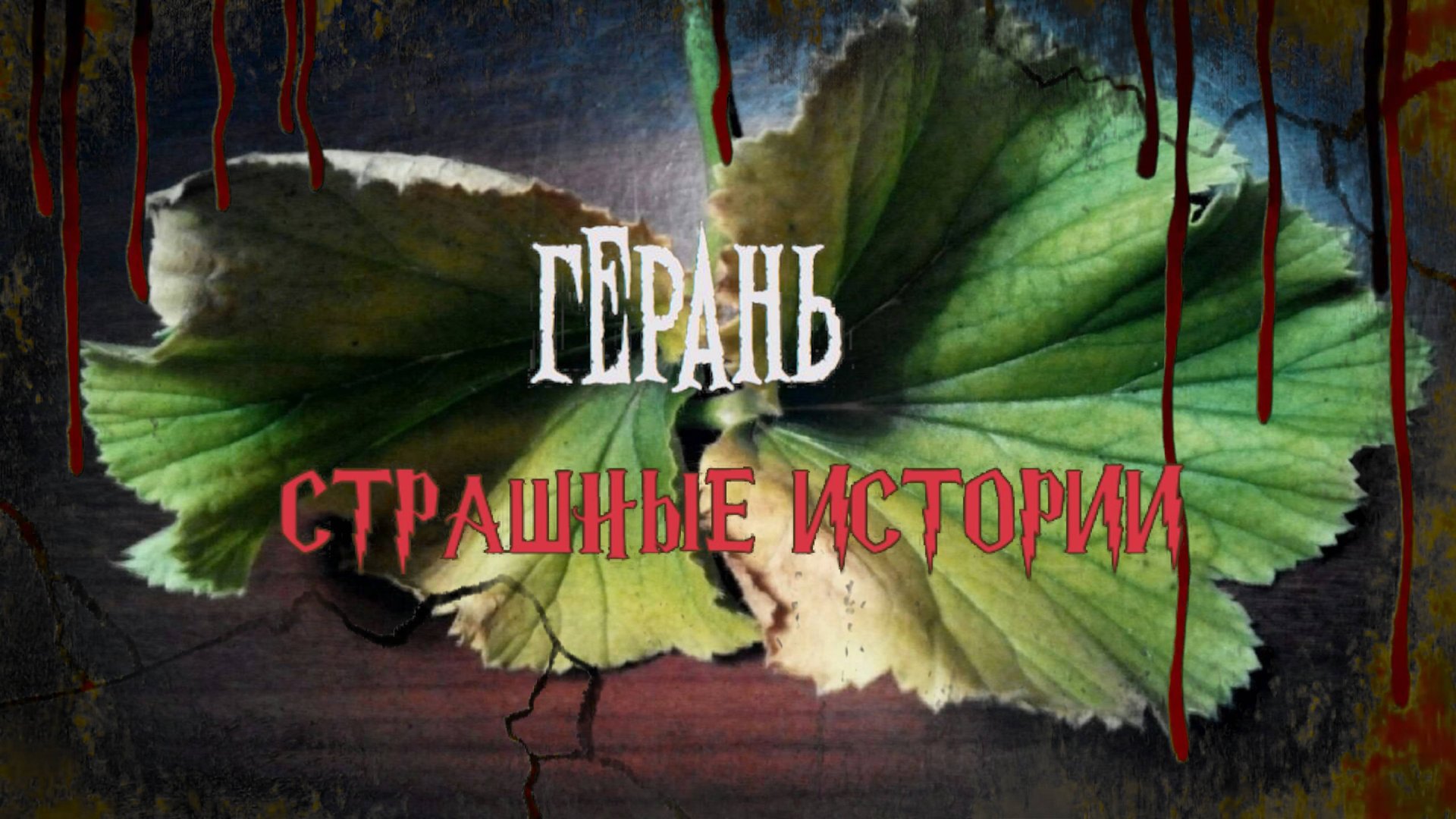СТРАШНЫЕ ИСТОРИИ НА НОЧЬ | Герань | СТРАШИЛКИ НА НОЧЬ