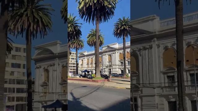 Местный колорит.🌶️🇨🇱 такая работа . Путешествия это по любви.#сынлюблюнемогу