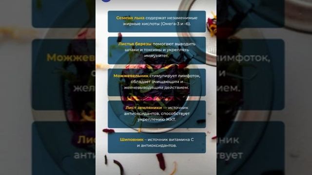 ЧАИ С ФИТАЛИНОМ - АДЖЕНИС