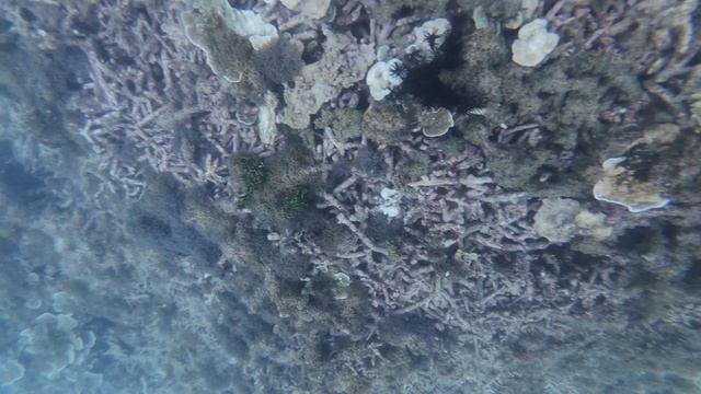 Ня Чанг, Вьетнам, острова под водой 21 февраля 2025. Nha Trang. 7